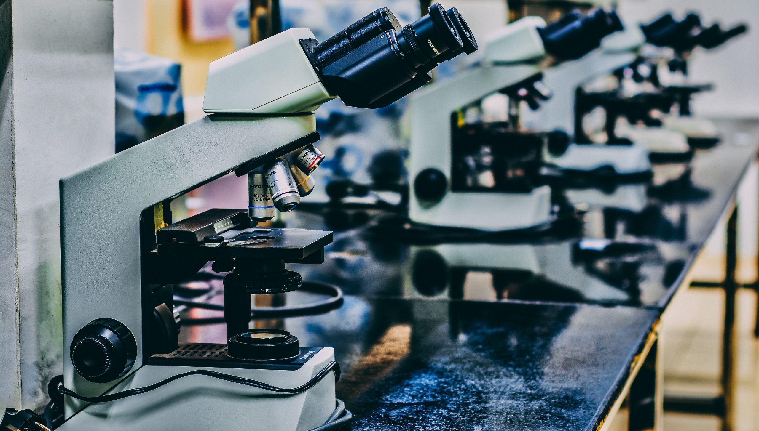 Can a frozen zoo save our endangered species? - The Big Smoke