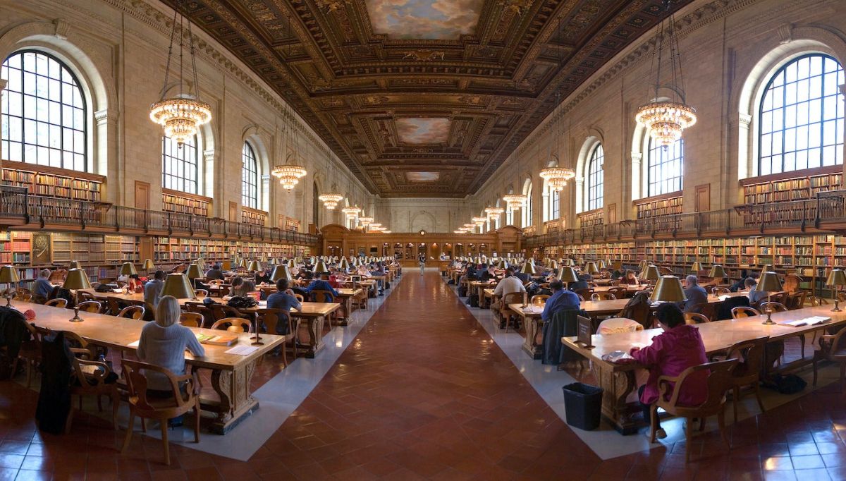 Gen Z and millennials have an unlikely love affair with their local libraries - The Big Smoke