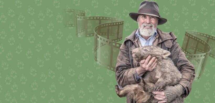 One wombat. One rescue. One very unexpected global audience: Southern ...