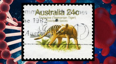 Scientists to attempt bringing Tassie Tiger back from extinction - The ...