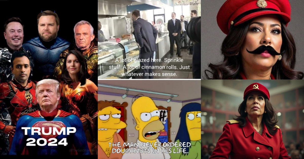 Ten noteworthy memes dropped during the 2024 election cycle - The Big Smoke