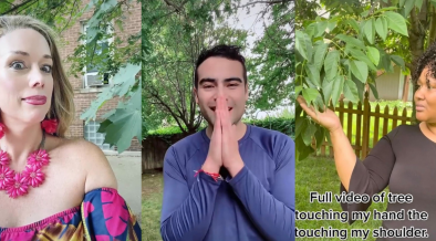 The science behind TikTok’s viral tree challenge - The Big Smoke